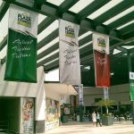 Banderolas publicitarias personalizadas en Lima